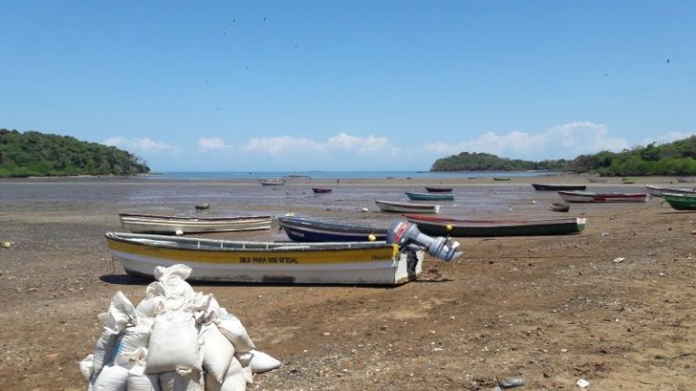 Municipio – Municipio de Balboa